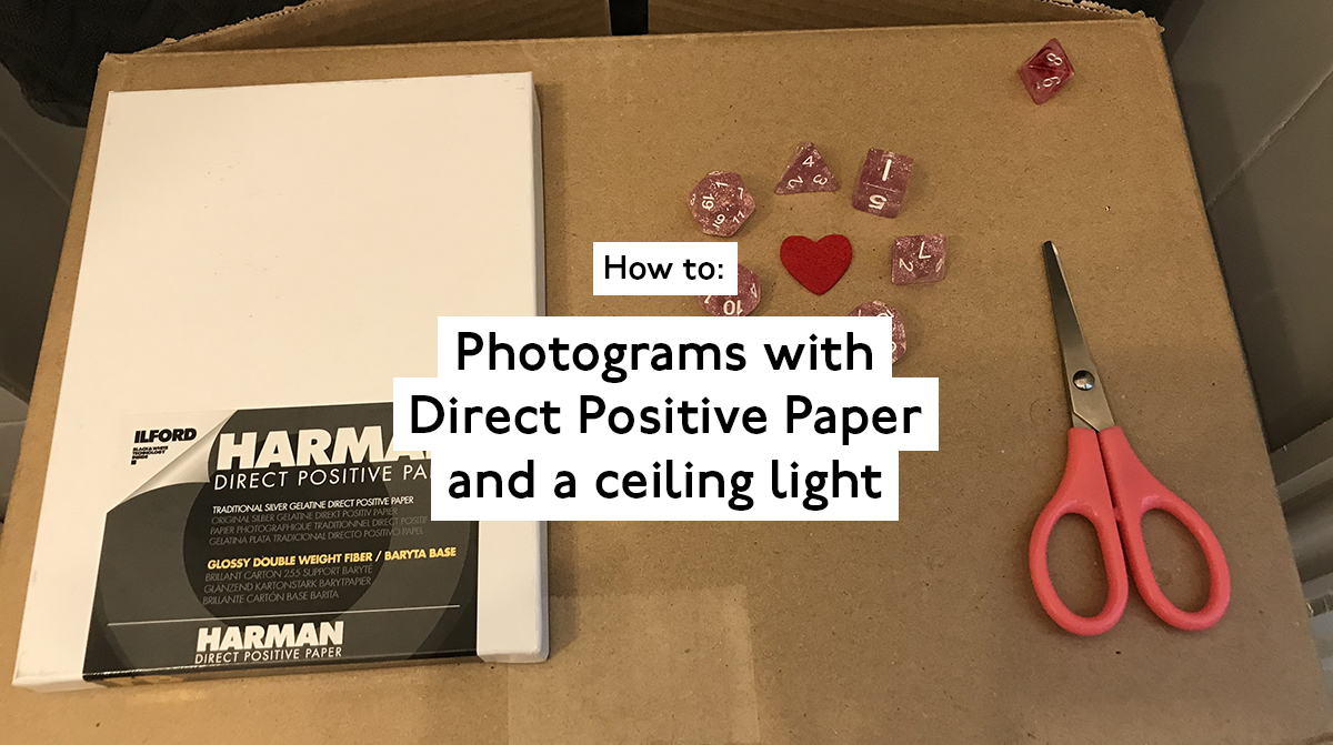 No Enlarger? No worries: How to make photograms with Harman Direct ...